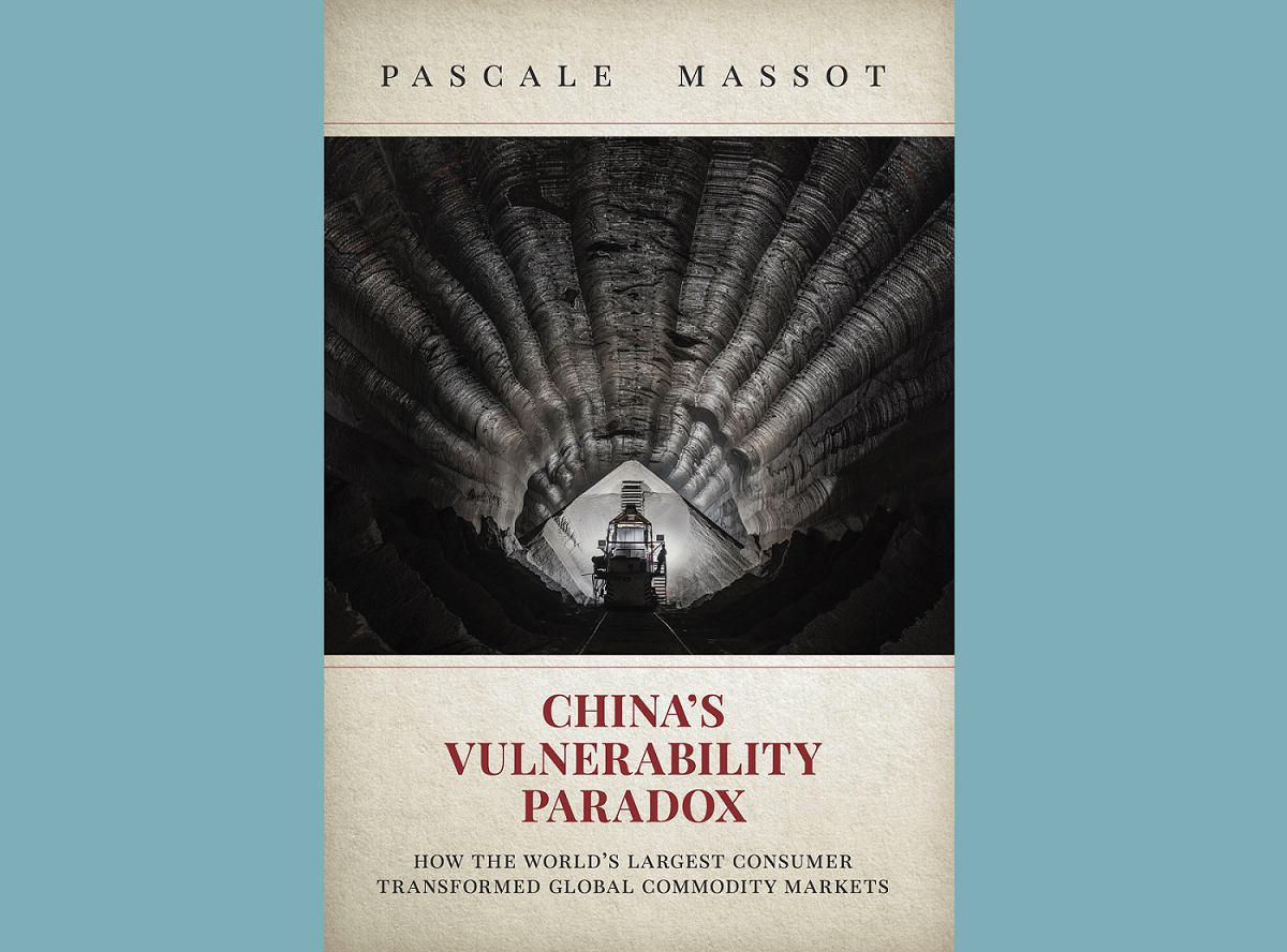 “China’s Vulnerability Paradox” | ChinaFile
