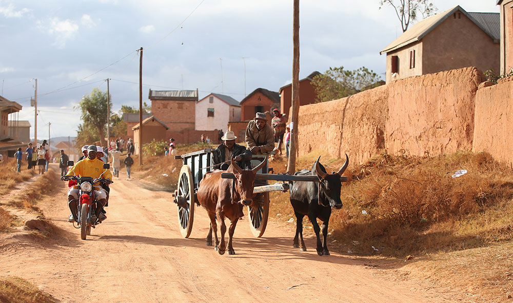Who Knew? Madagascar Has Africa’s Third Largest Chinese Population ...