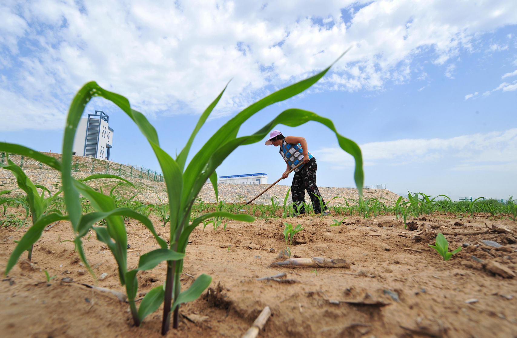 The Yellow River: A History of China’s Water Crisis | ChinaFile